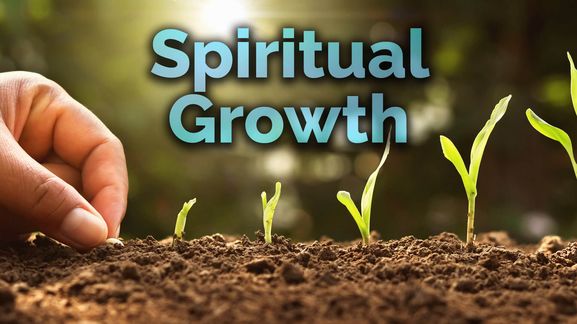 Spiritual Growth Opportunities – Blessed Francis Xavier Seelos Biloxi, MS